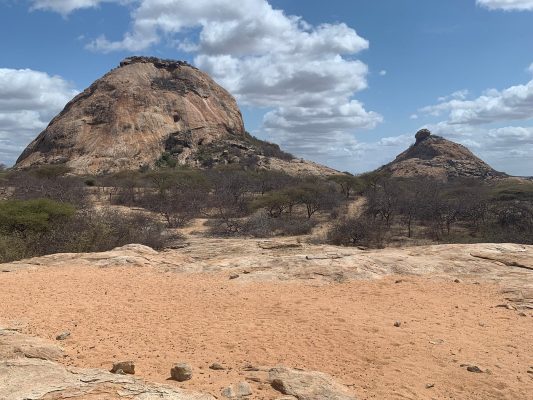 Kora National Park Guide | Bushtroop Tours & Safaris